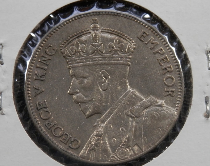 Antique Silver Coin. Victorian 1880 One Florin. Queen Victoria Gothic ...