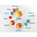 Solar System Set Needle Felted Planets Wool Felt Planet Kit - Etsy