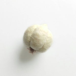 Felted Garlic Bulb, Needle Felted Vegetables, Realistic Food, Kitchen ...