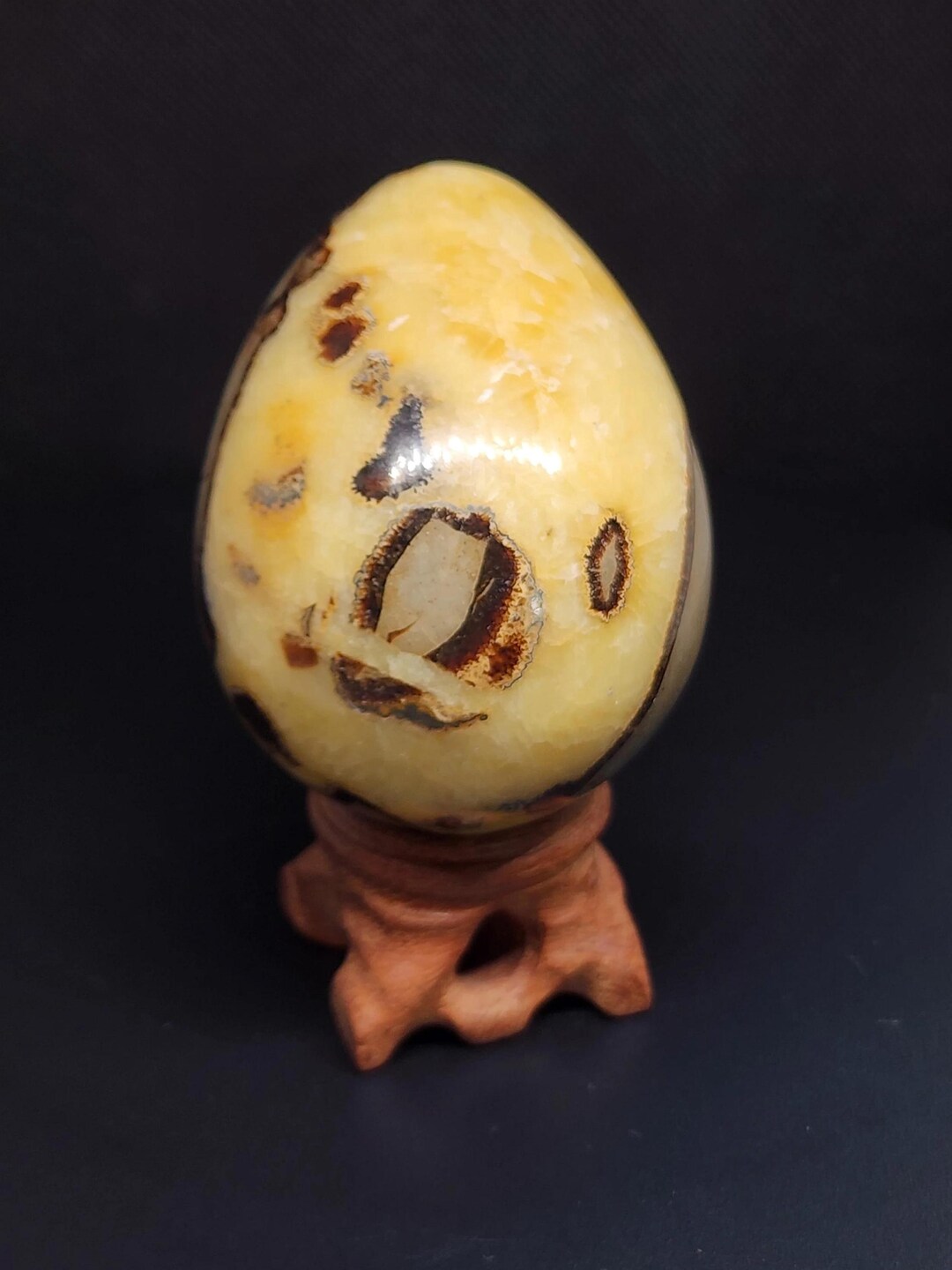 Septerian Egg - Etsy