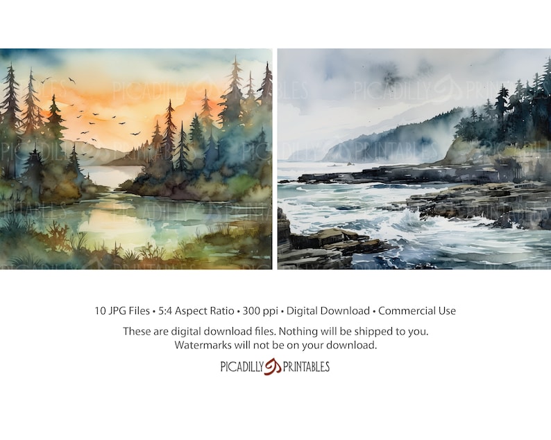 Pacific Northwest - Watercolor Background Images of the PNW Coast and ...