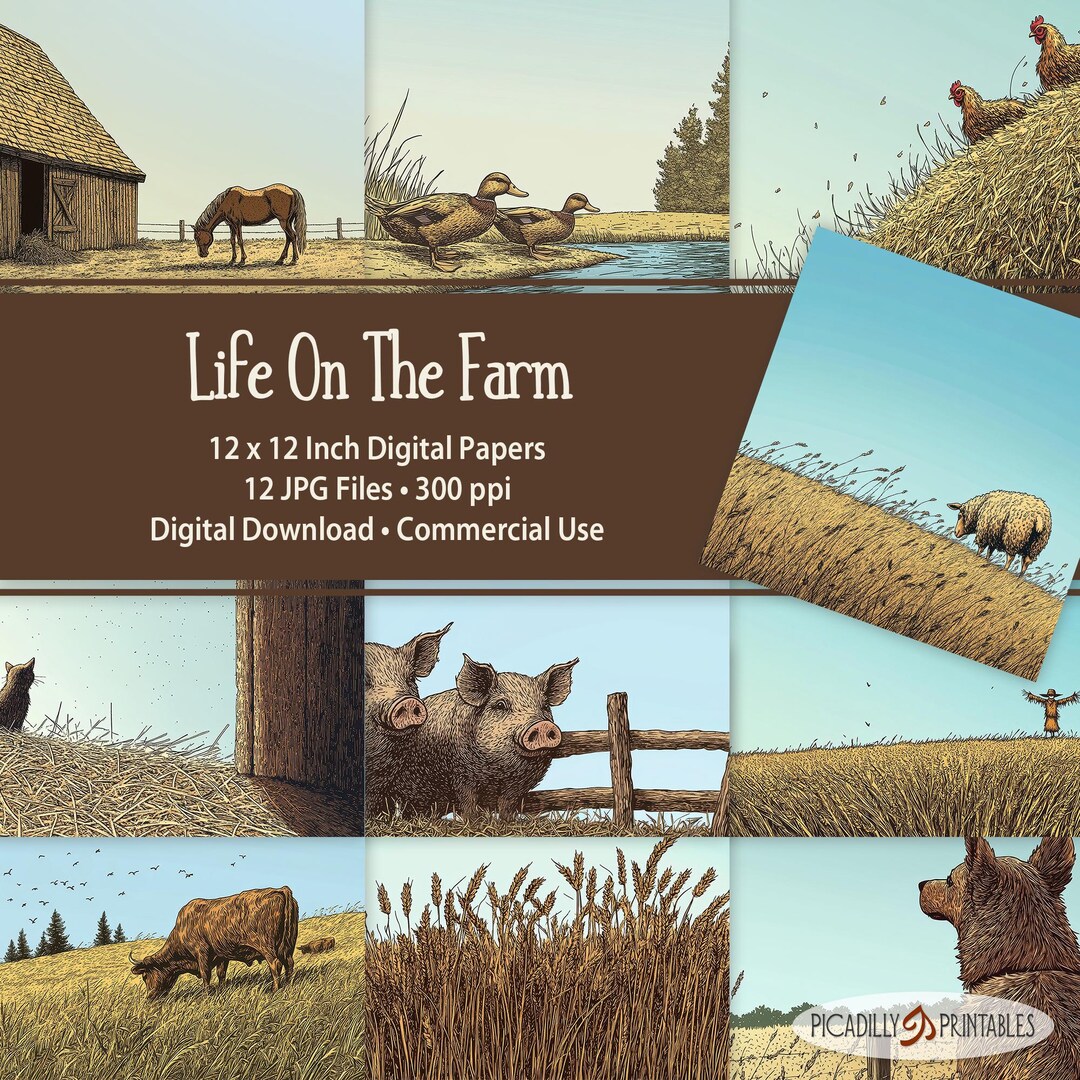 Farm Drawings - Life on the Farm Illustrations Digital Papers - 12 JPEG ...