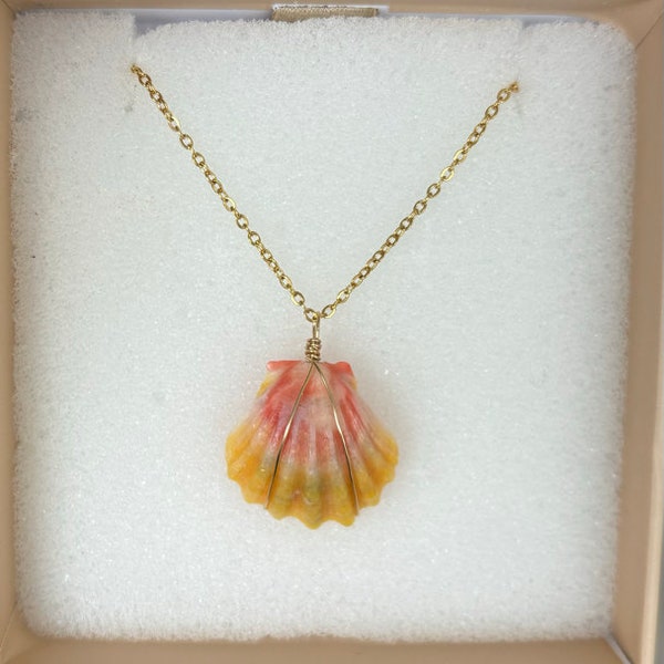 Sunrise Shell - Etsy