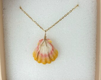 Sunrise Shell Necklace With Freshwater Pearl and Coral Sunrise Shell ...
