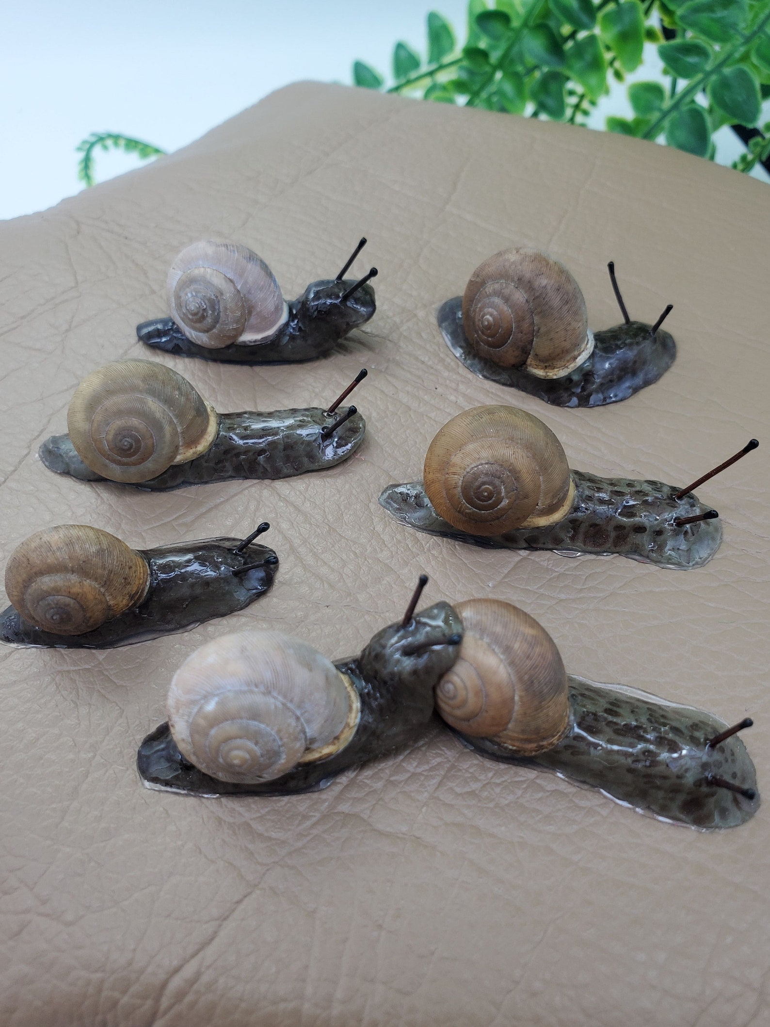 Realistic Hand Sculpted Snail Magnets - Etsy