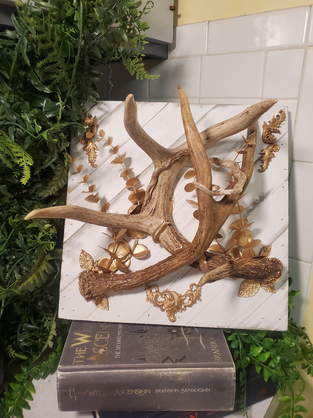 Antler Mount Featuring Mummified Snake - Etsy