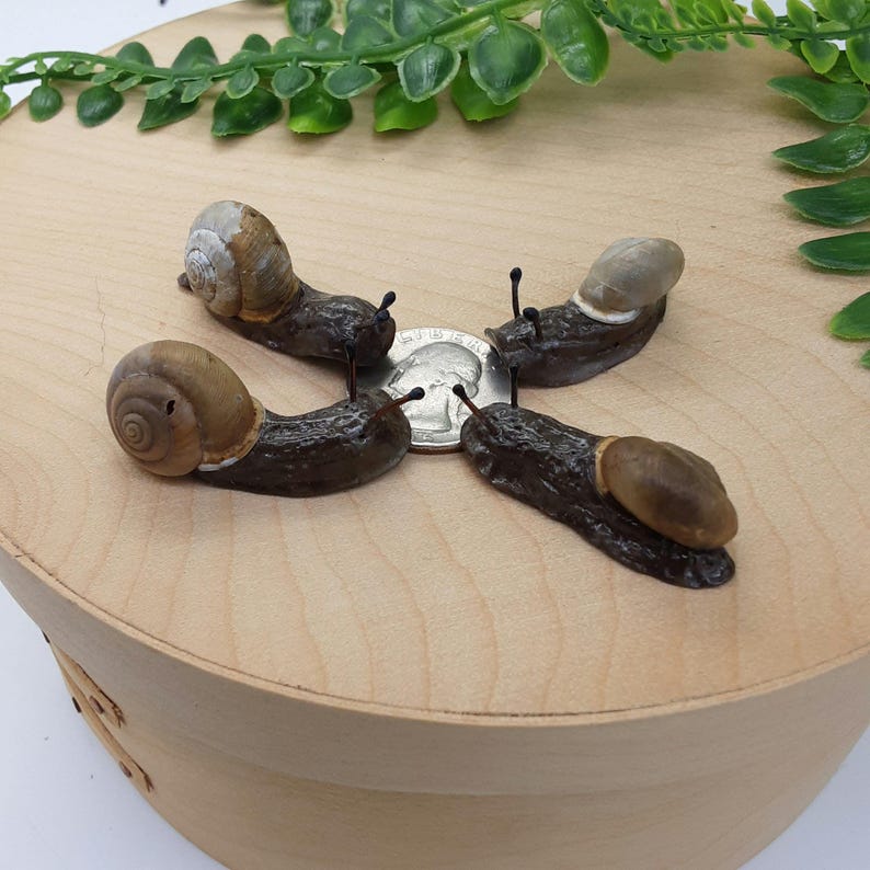 Realistic Hand Sculpted Snail Magnets - Etsy