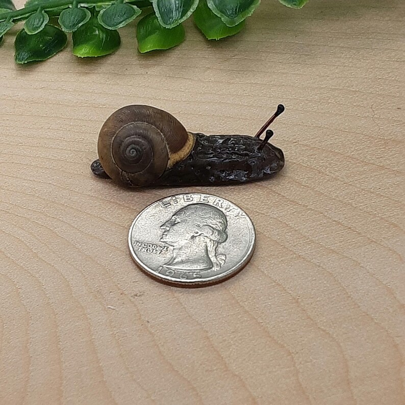 Realistic Hand Sculpted Snail Magnets - Etsy