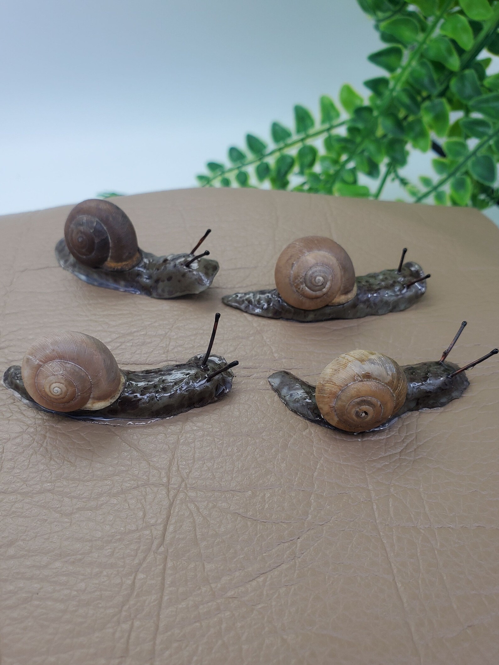 Realistic Hand Sculpted Snail Magnets - Etsy