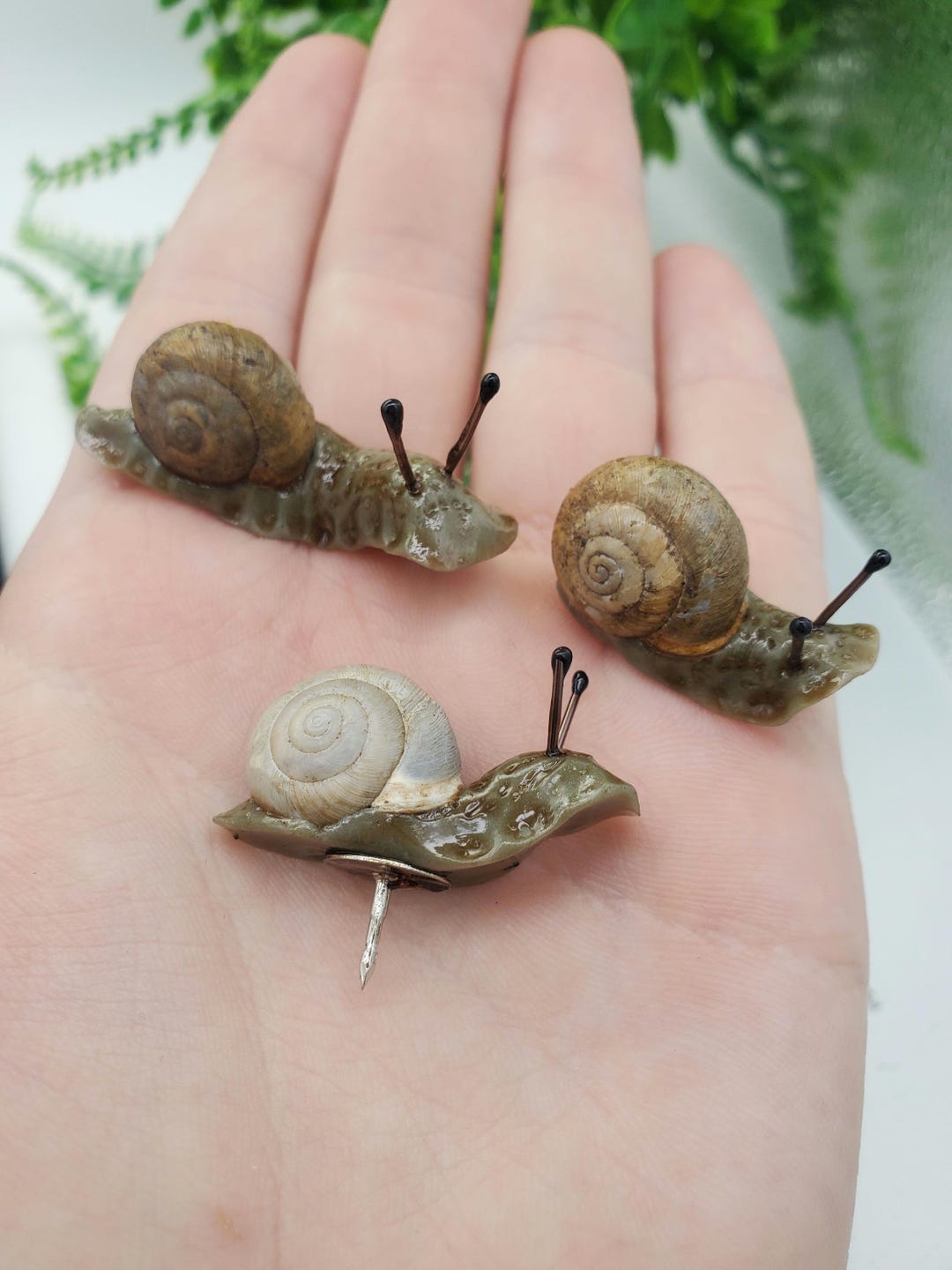Realistic Hand Sculpted Snail Pins - Etsy