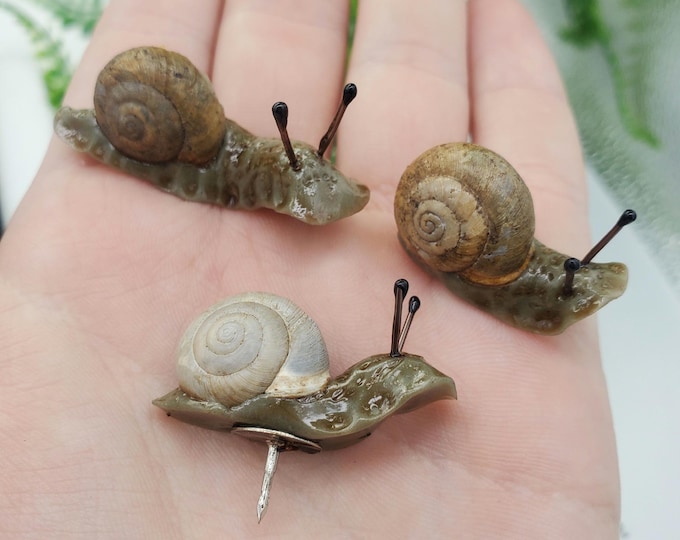 Realistic Hand Sculpted Snail Pins - Etsy