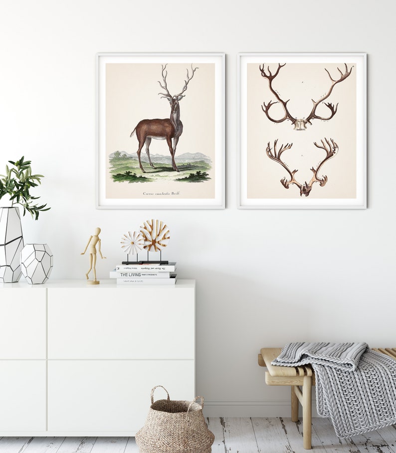 Stag Print Deer Antlers Elk Poster Woodland Nursery Wall Art - Etsy