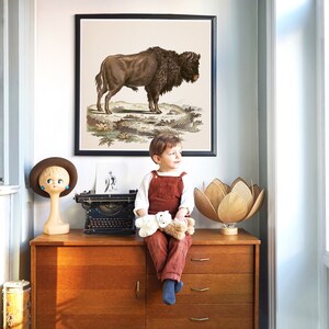 Bison Print Buffalo Poster Safari Nursery Wall Art Kids Room Decor ...