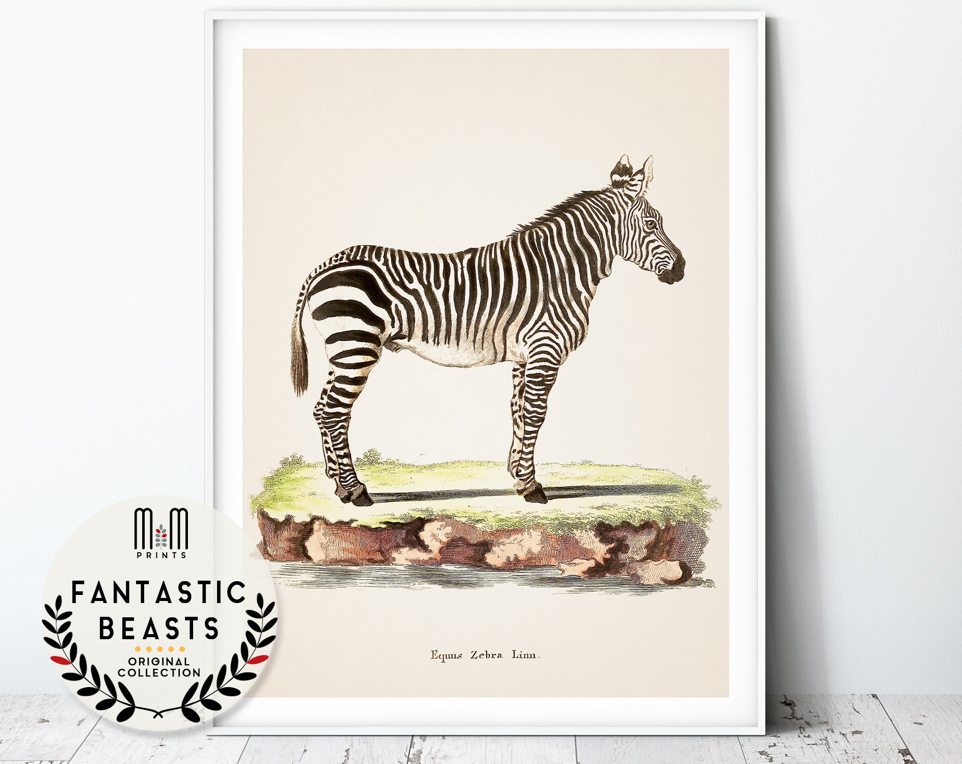 Zebra Print Safari Nursery Decor Nursery Wall Art Antique Animal Print ...