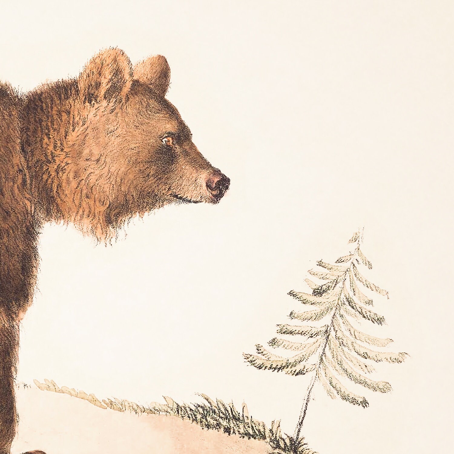 Bear Print Nursery Wall Art Adventure Woodland Nursery Decor - Etsy