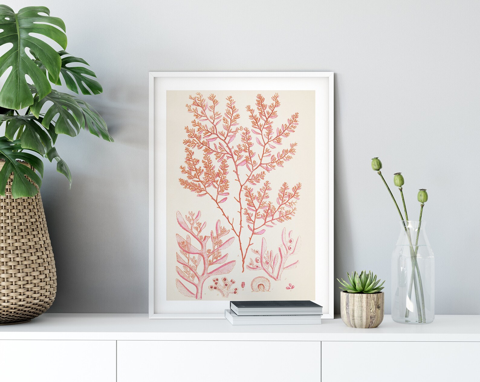 Seaweed Print Coral Bathroom Wall Decor Ocean Coastal Wall Art - Etsy