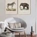 Zebra Print Safari Nursery Decor Nursery Wall Art Antique Animal Print ...