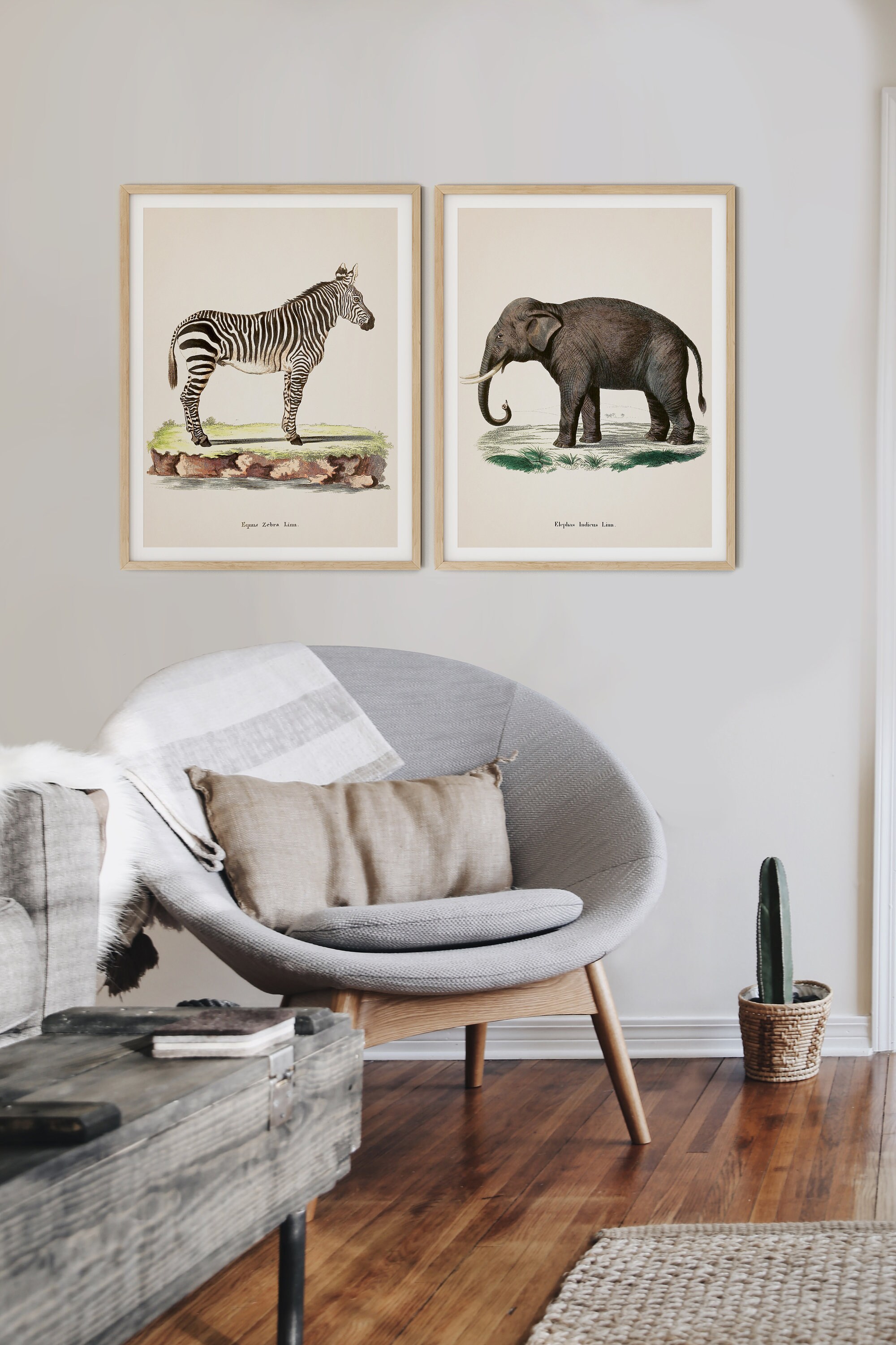 Zebra Print Safari Nursery Decor Nursery Wall Art Antique Animal Print ...