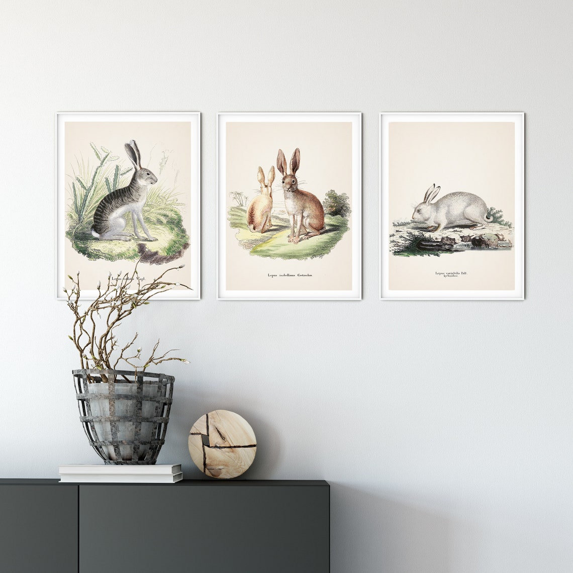 Rabbit Print Set of 3 Prints Woodland Nursery Wall Art Adventure Kids ...