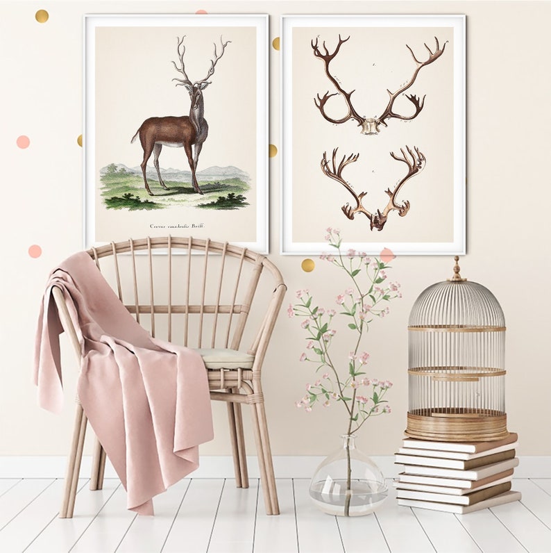 Stag Print Deer Antlers Elk Poster Woodland Nursery Wall Art - Etsy