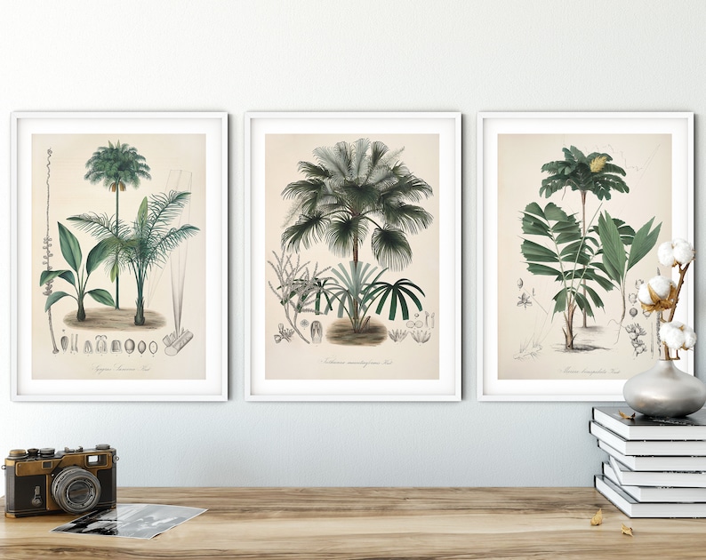 Palm Tree Print Botanical Print Set of 3 Prints Wall Art Set Safari ...