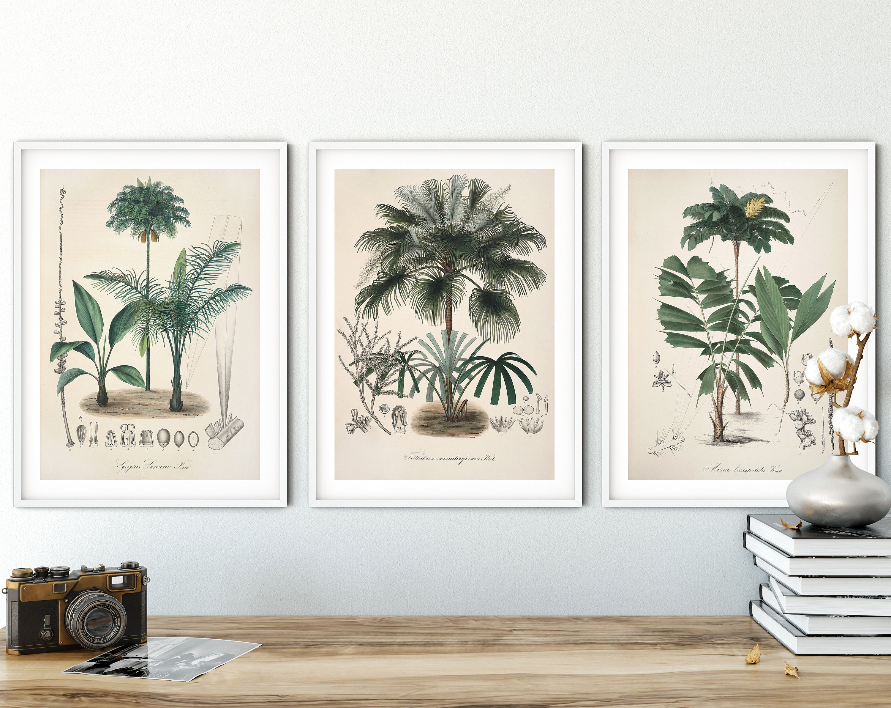 Vintage Palm Leaf Print