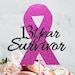 Breast Cancer Survivor Cake Topper, Cancer Fighter Celebration Topper ...