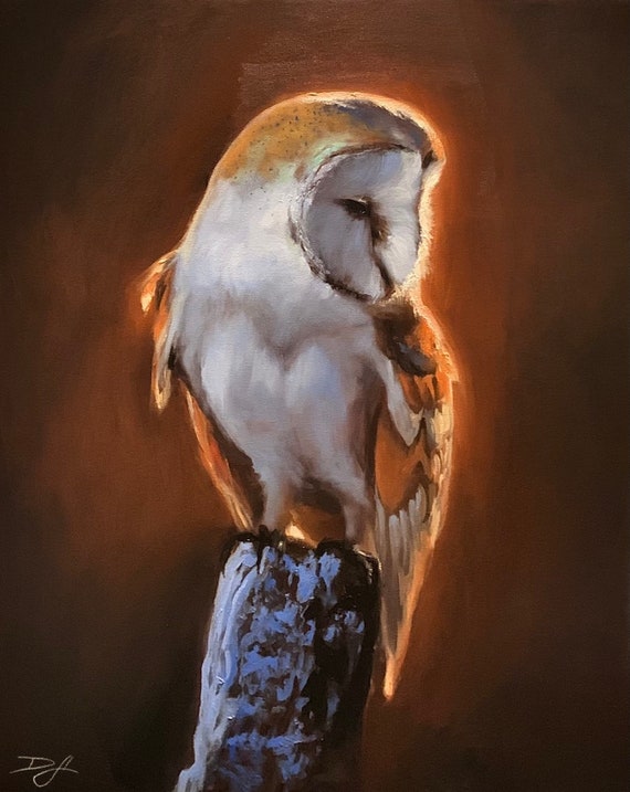 Barn Owl Art