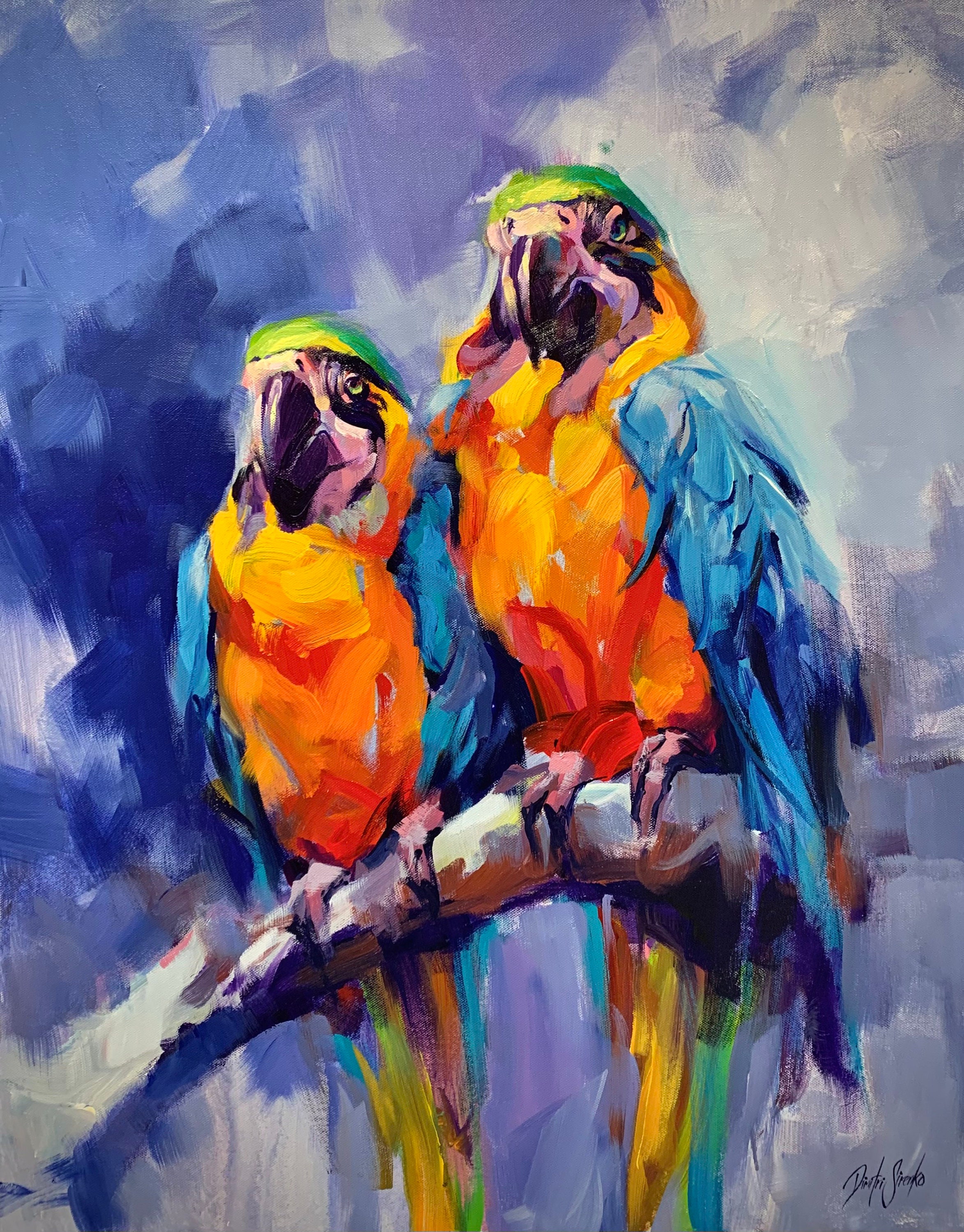 Macaw Prints