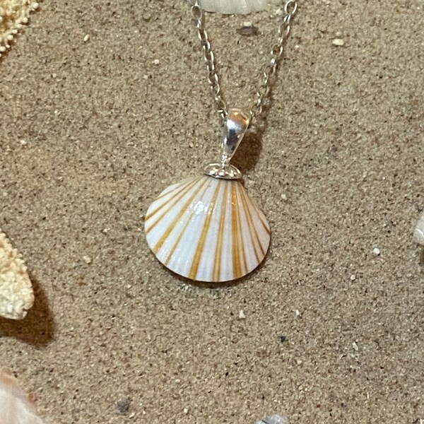 Clam Necklace - Etsy