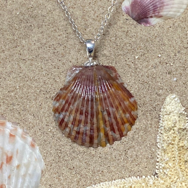Scallop Shell Necklace - Etsy