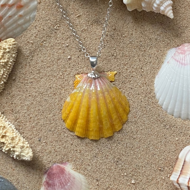 Sunrise Shell Necklace - Etsy