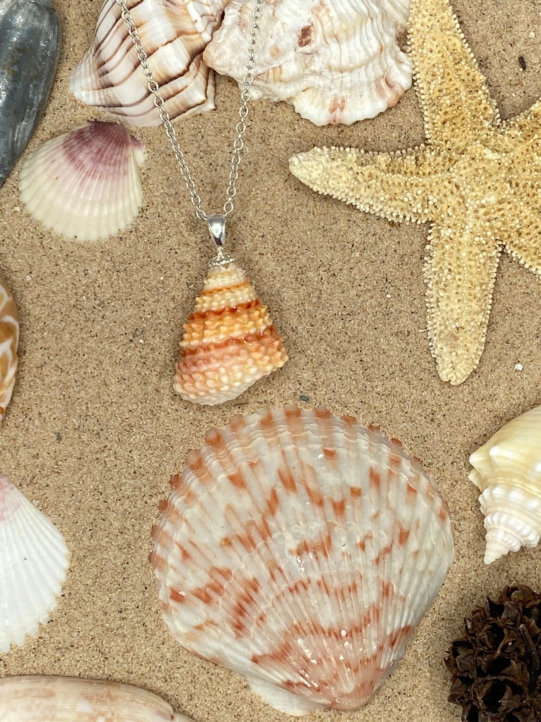 Beaded Prickly Winkle coronate Prickly Winkle Seashell Pendant Necklace ...