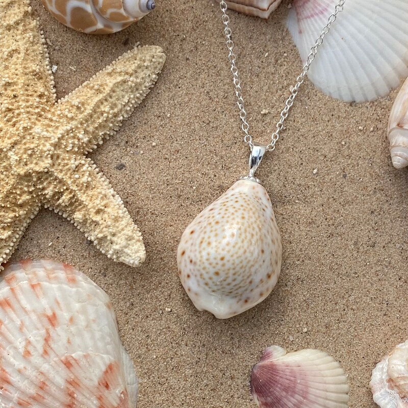 Cowrie Necklace - Etsy