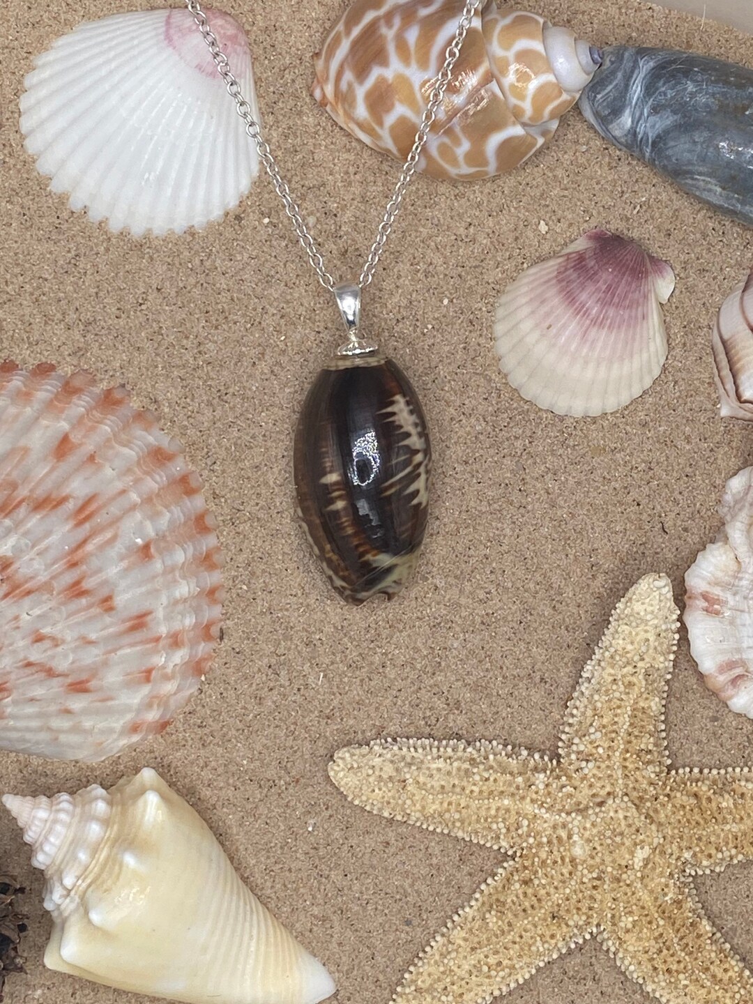 Swollen Olive flated Olive Seashell Pendant Necklace in Argentium ...