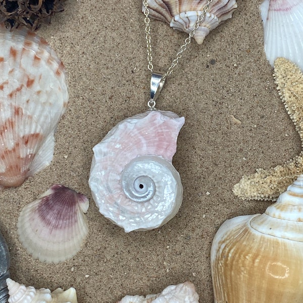 Seashell Pendant - Etsy