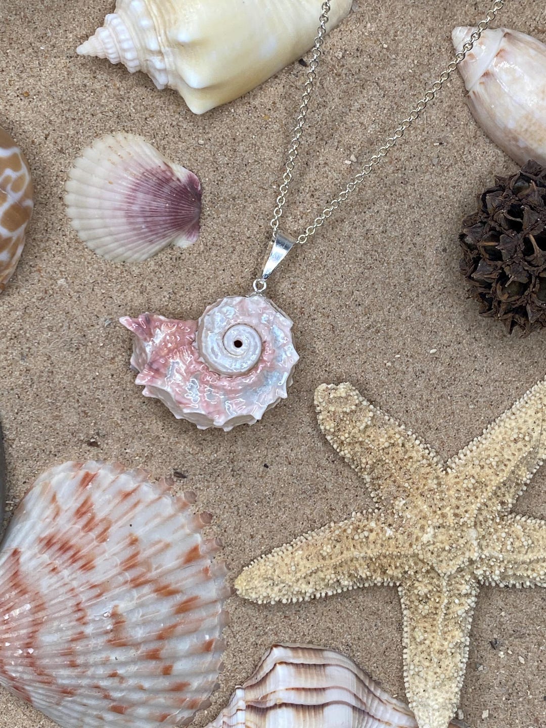 Pearl Delphinula Ursula Inspired pink Appearance Pendant Necklace in Sterling Silver for Miss ...