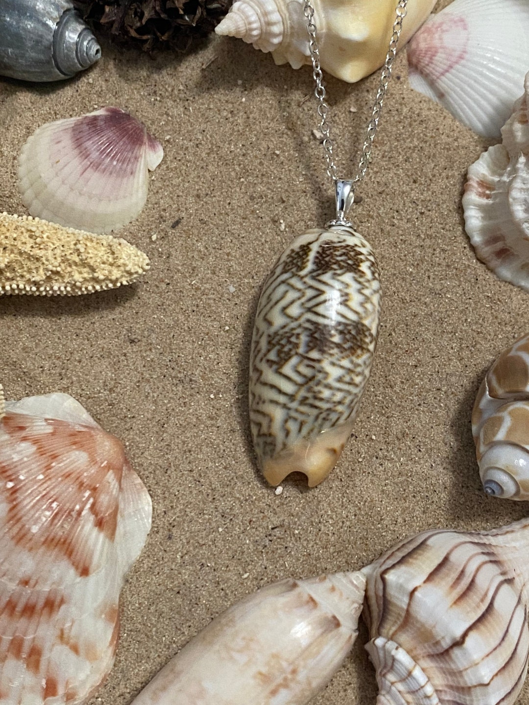 Reticulated Blood Olive Seashell Pendant Necklace - Etsy