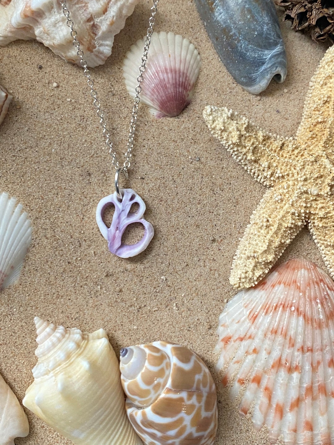 Cebu Beauty Slice Seashell Pendant Necklace - Etsy