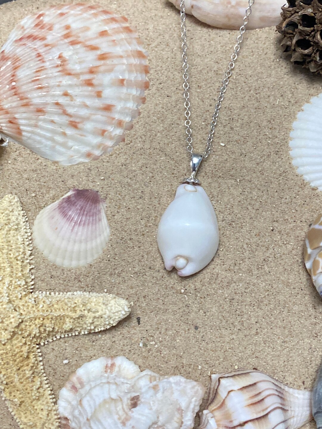 Wart Cowrie Seashell Pendant Necklace in Sterling Silver ...