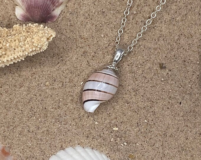 Hawaiian Swollen Bubble Seashell Necklace - Etsy