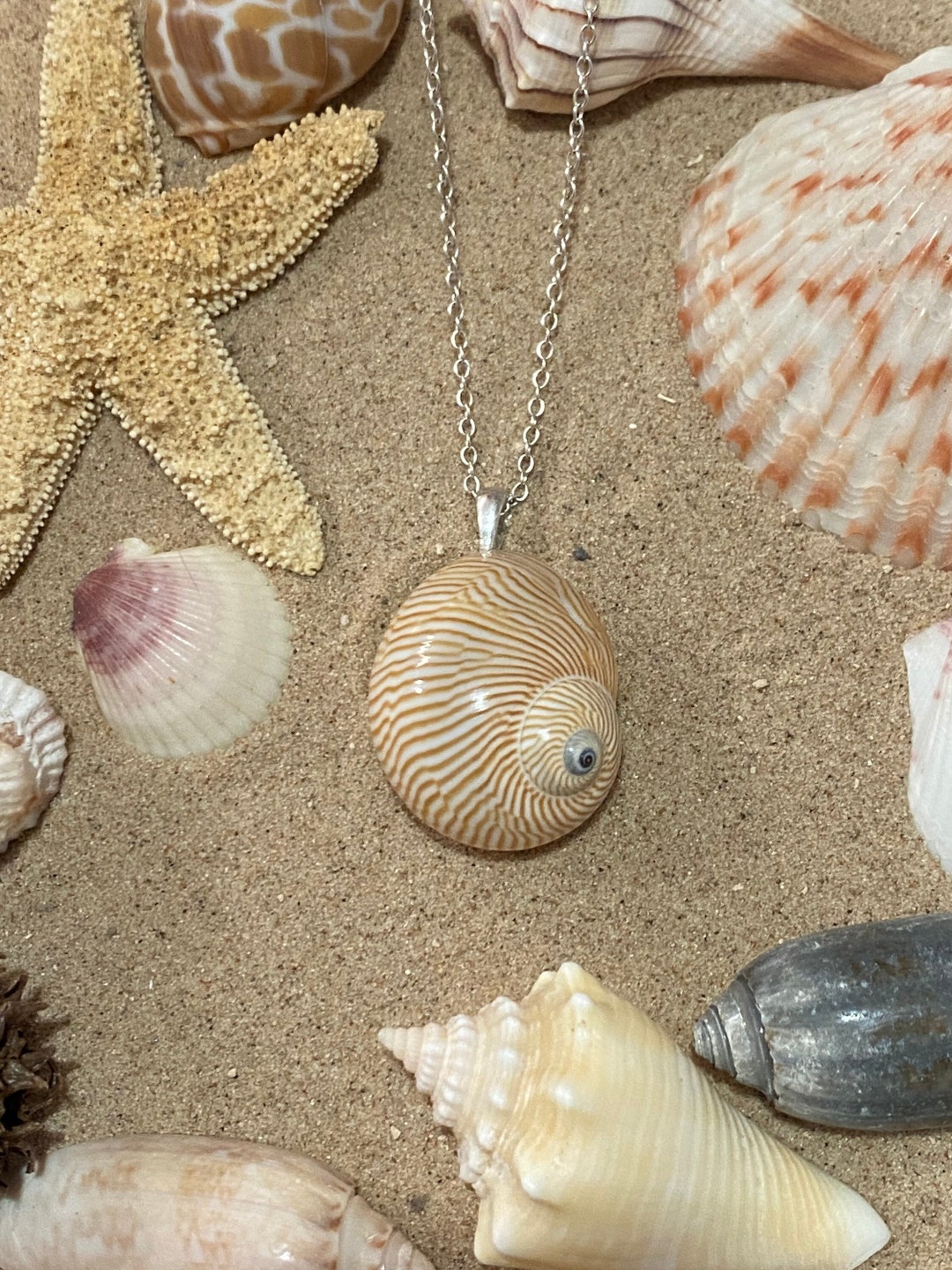 Striped Moon Shell Seashell Pendant Necklace - Etsy