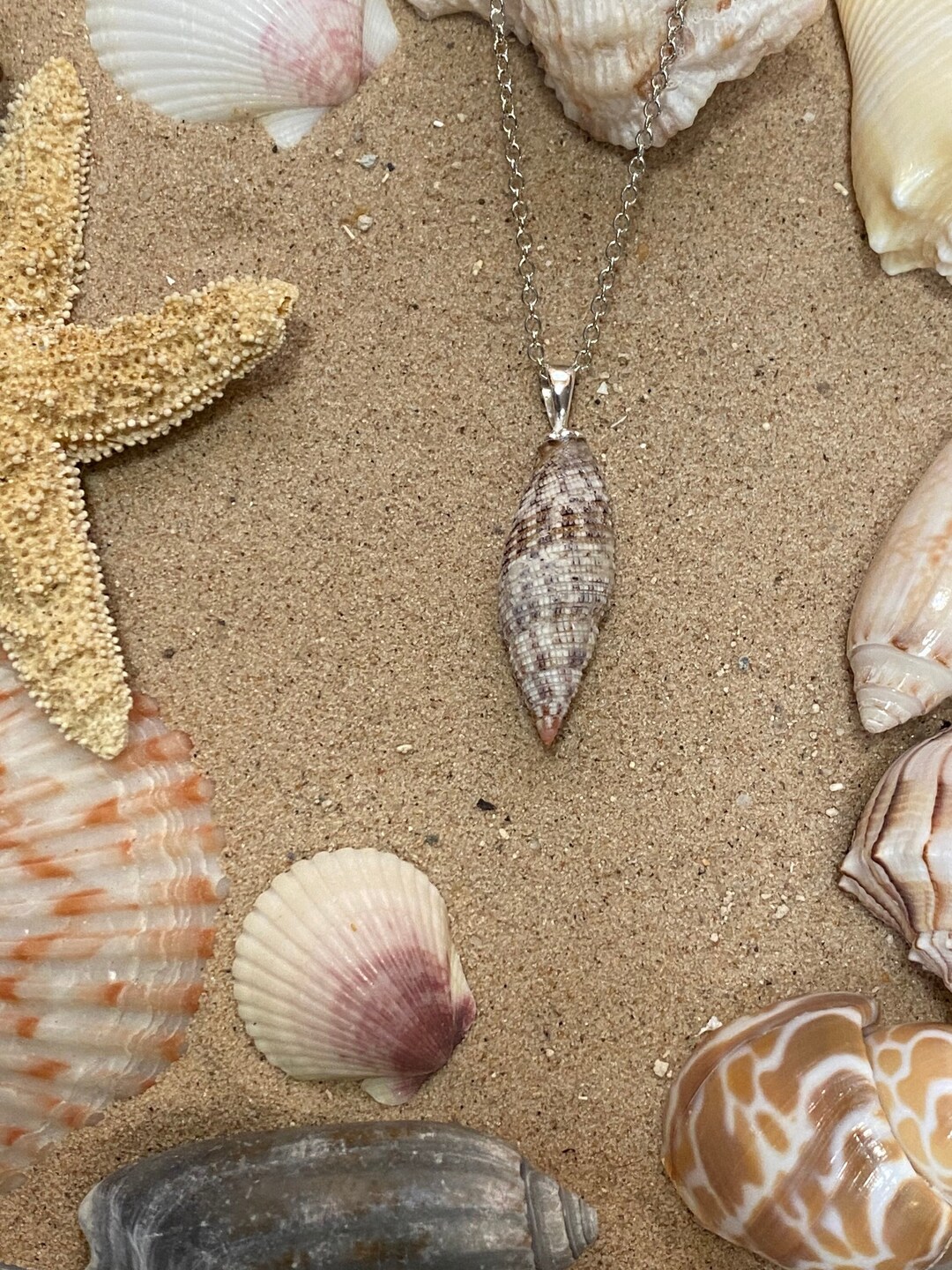 Miter Mitre Seashell Pendant Necklace - Etsy