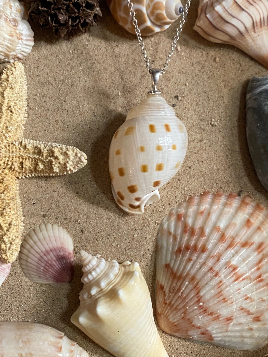 Scotch Bonnet Seashell Pendant Necklace - Etsy