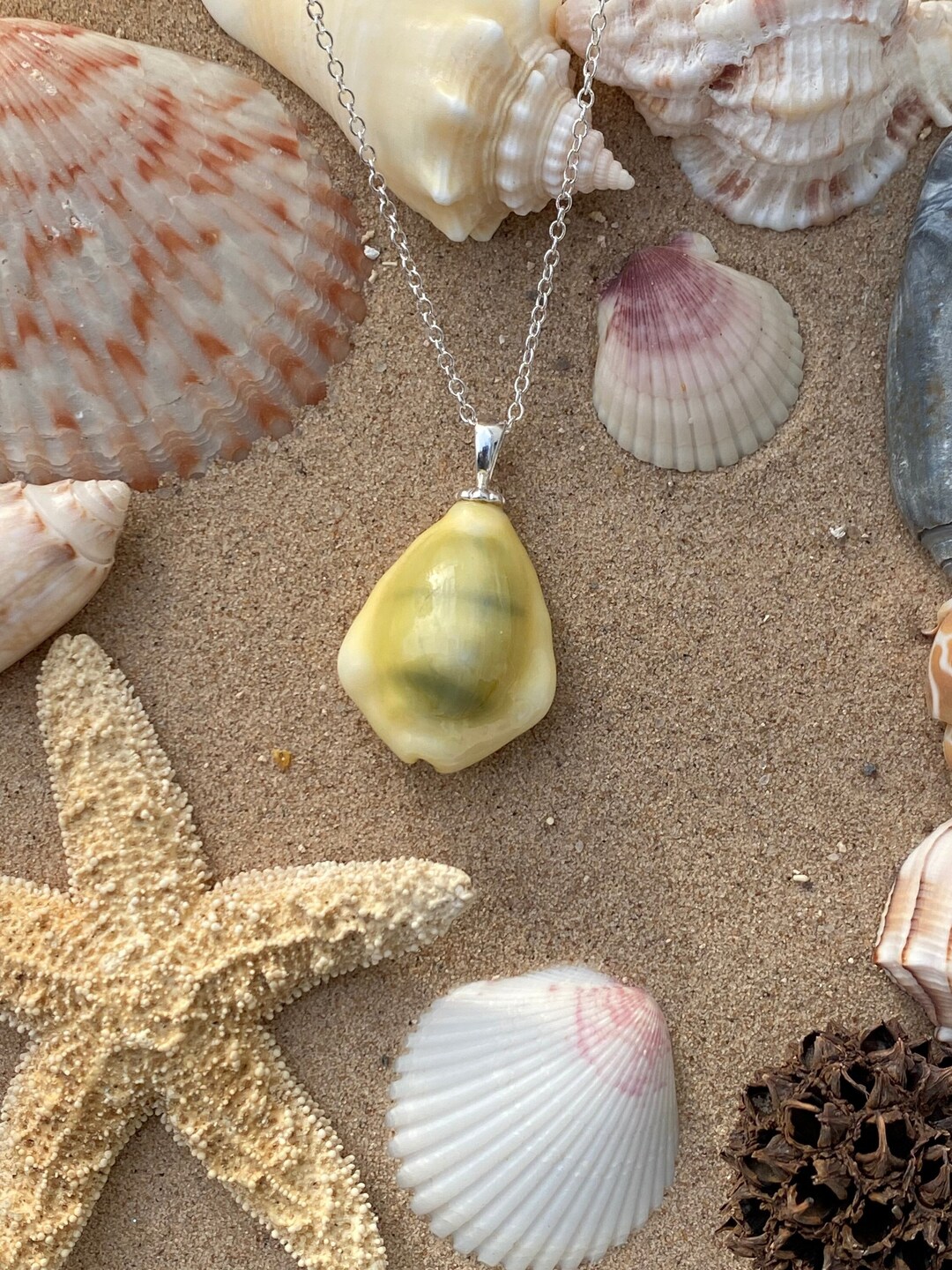 Diamond Shaped Money Cowrie Cowry Seashell Pendant Necklace - Etsy