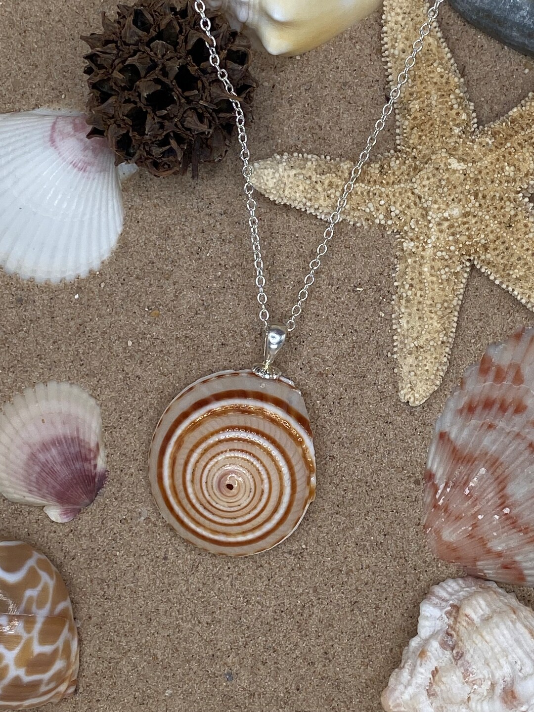 Sundial Seashell Necklace in Sterling Silver, Argentium Silver, 14K ...
