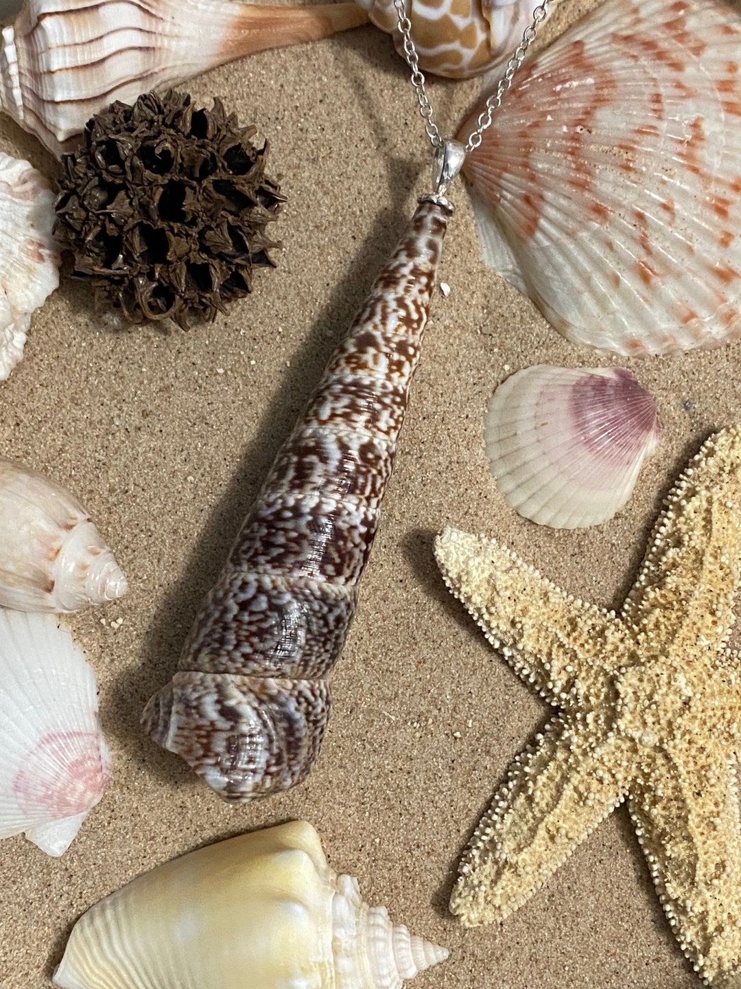 Long Turritella Seashell Pendant Necklace - Etsy