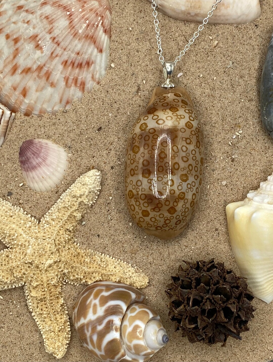 Rare 100-eyed Cowrie Seashell Pendant Necklace in Sterling Silver or ...