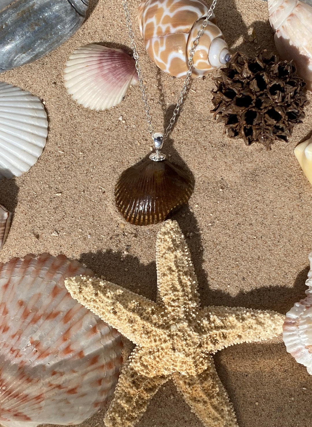Ponderosa Ark Seashell Pendant Necklace - Etsy
