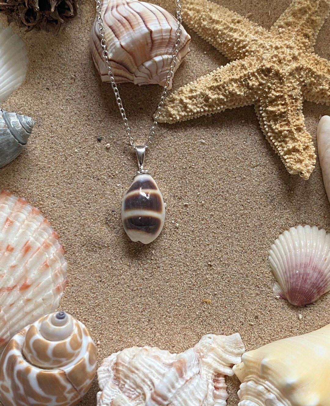 Little Ass/little Donkey Cowrie Seashell Pendant Necklace - Etsy